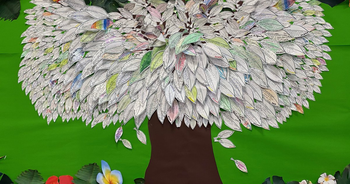 Wellbeing and Literacy: resources inspired by the Book of Hopes ...