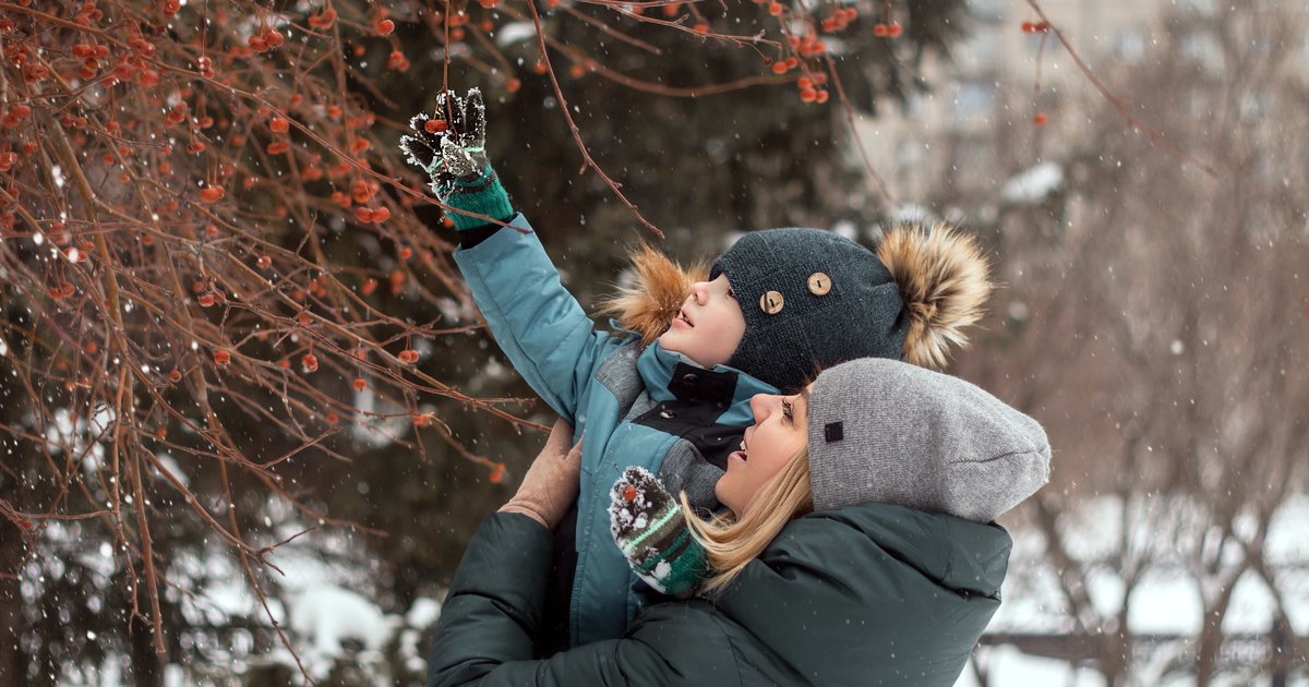 Winter wonderland | teaching ideas and activities for Christmas and the ...